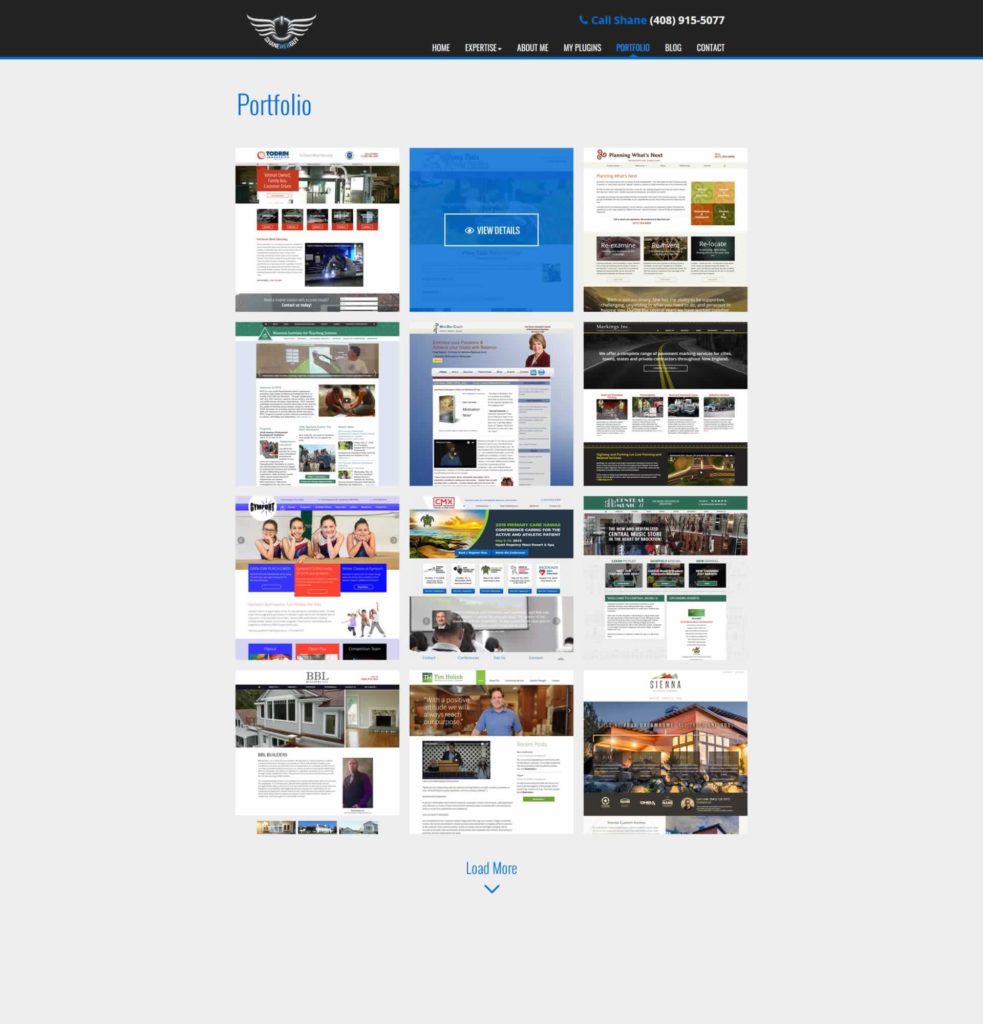 Approved Design Model for Web Development | ShaneWebGuy